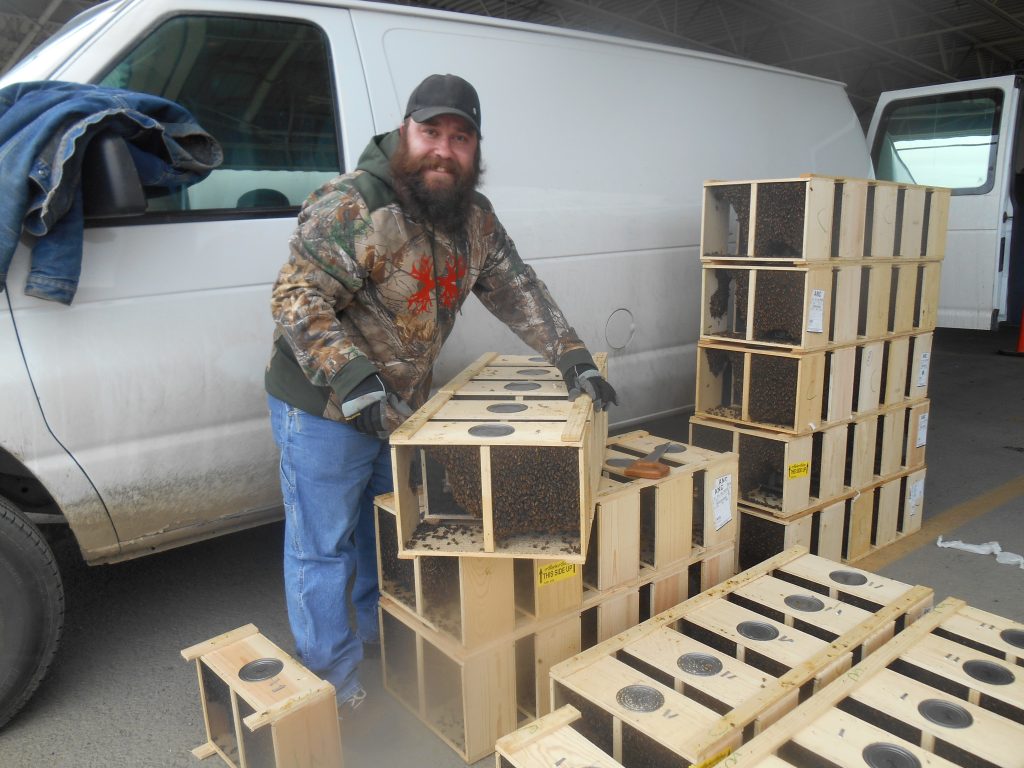 Package Bee Delivery 2019